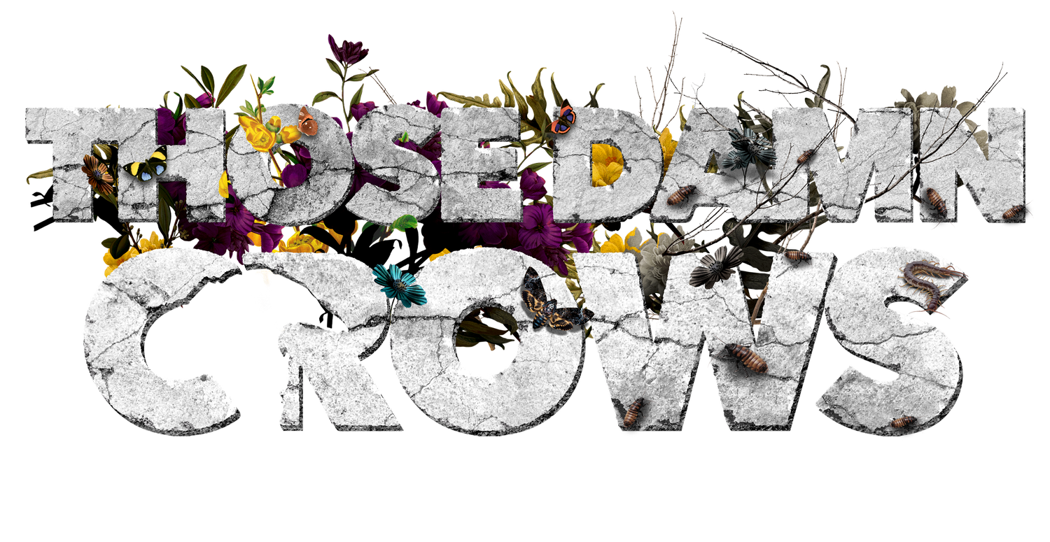 THOSE DAMN CROWS reveal expanded Inhale/Exhale plans